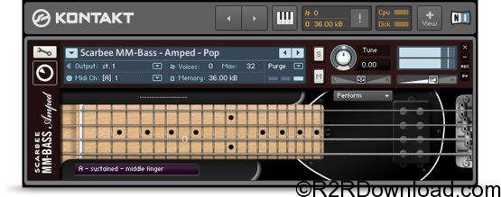 Native Instruments Scarbee MM Bass Amped KONTAKT | Go AudiO [Official]
