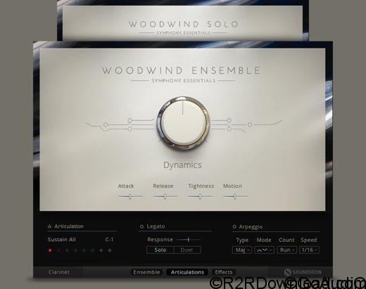 Native Instruments Symphony Series Woodwind Ensemble KONTAKT | Go AudiO ...