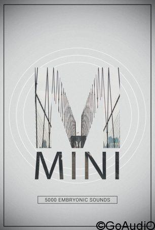 8Dio Mini Instrument for Kontakt VST-AU-AAX Samples | Go AudiO [Official]