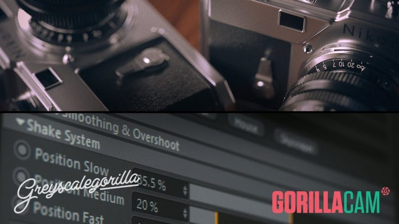GreyscaleGorilla - GorillaCam for Cinema 4D Free Download | Go AudiO ...