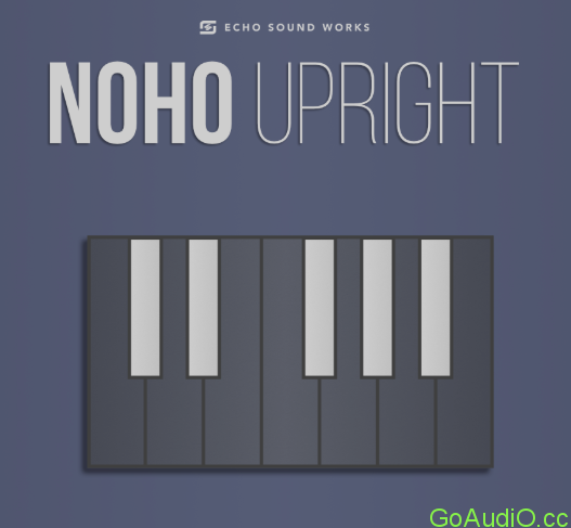 Echo Sound Works Noho Upright KONTAKT | Go AudiO [Official]