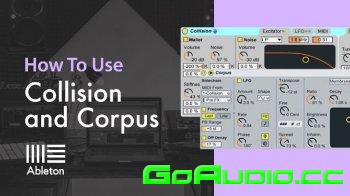 Sonic Academy Collision and Corpus with P-LASK TUTORiAL | Go AudiO [Official]