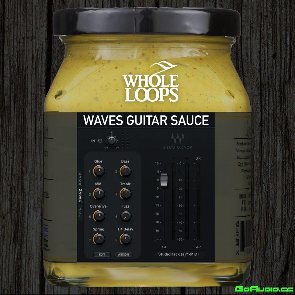 Whole Loops WAVES GUITAR STUDIORACK | Go AudiO [Official]