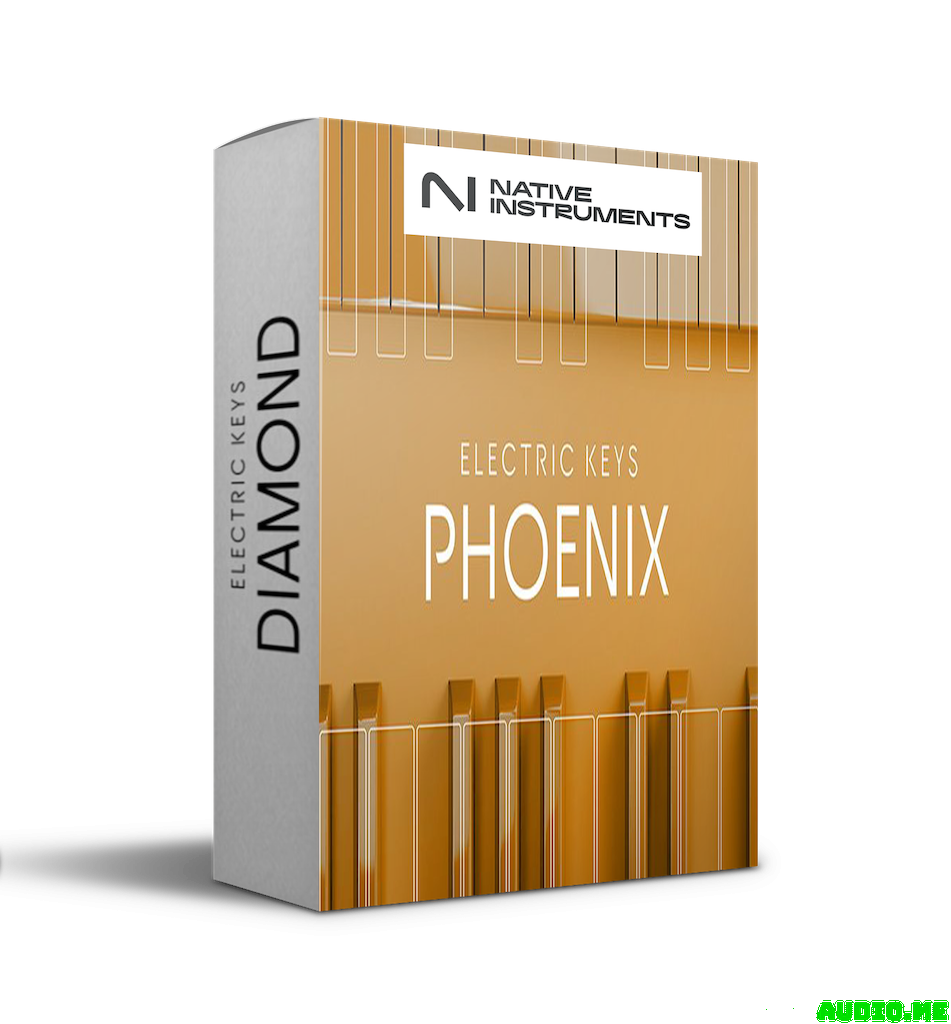 Native-Instruments Electric Keys - Tines Duo KONTAKT | Go AudiO [Official]