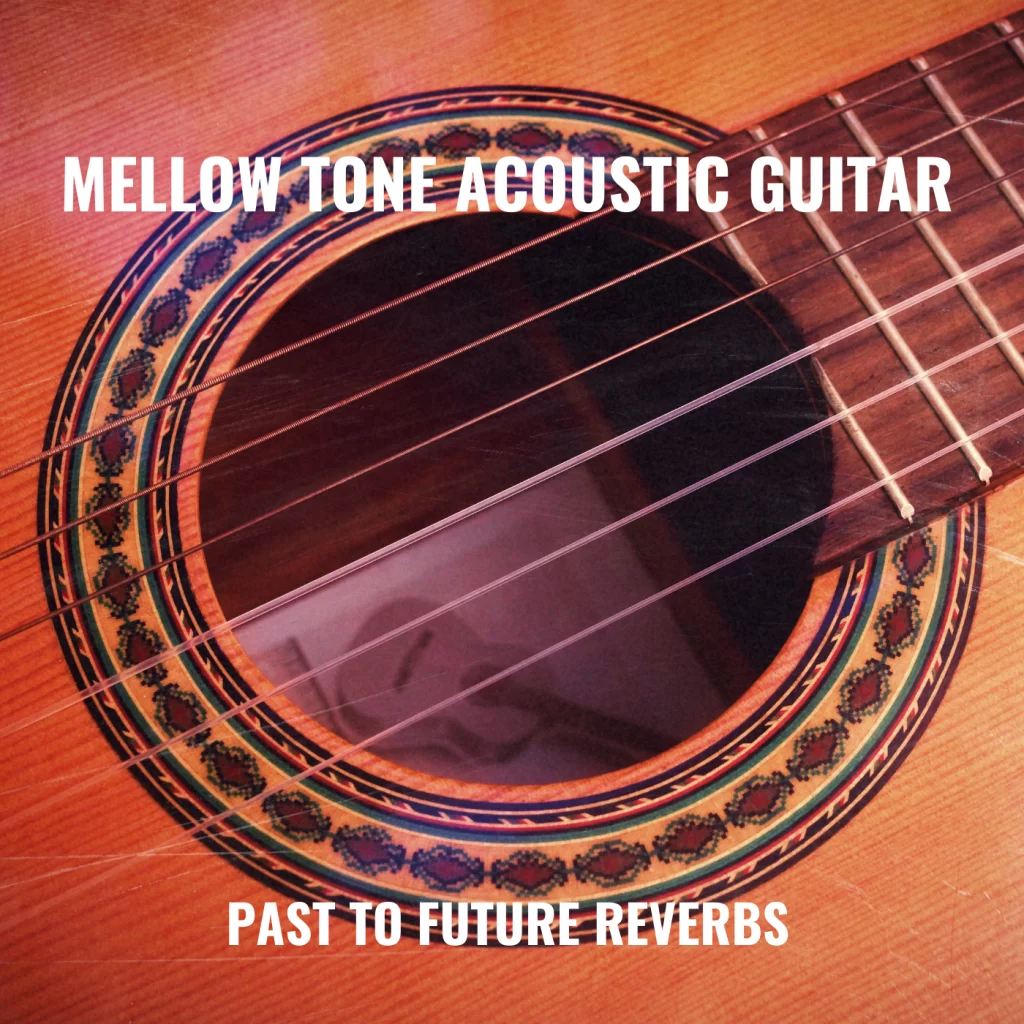 PastToFutureReverbs Mellow Tone Acoustic Guitar For Kontakt! KONTAKT ...