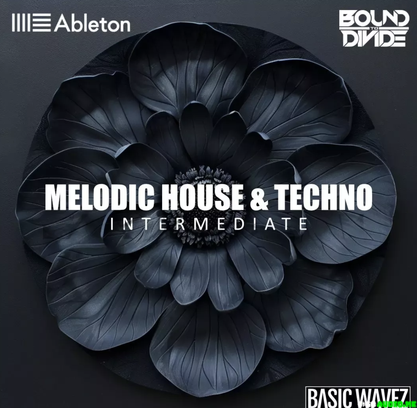 Basic Wavez (Intermediate) Write 2 Melodic House and Techno Tracks with ...