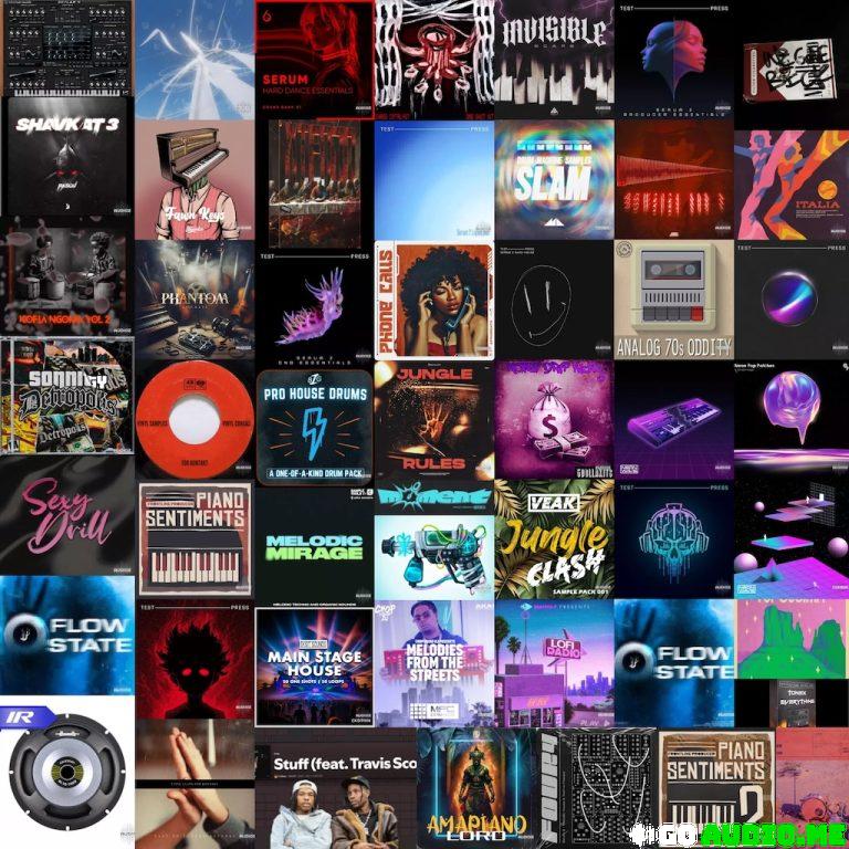 SAMPLE PACK BUNDLE (MARCH 2025) VOL 254 | Go AudiO [Official]