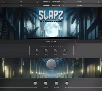Diamond Loopz Slapz 2 VST RETAiL [WiN/OSX] | Go AudiO [Official]